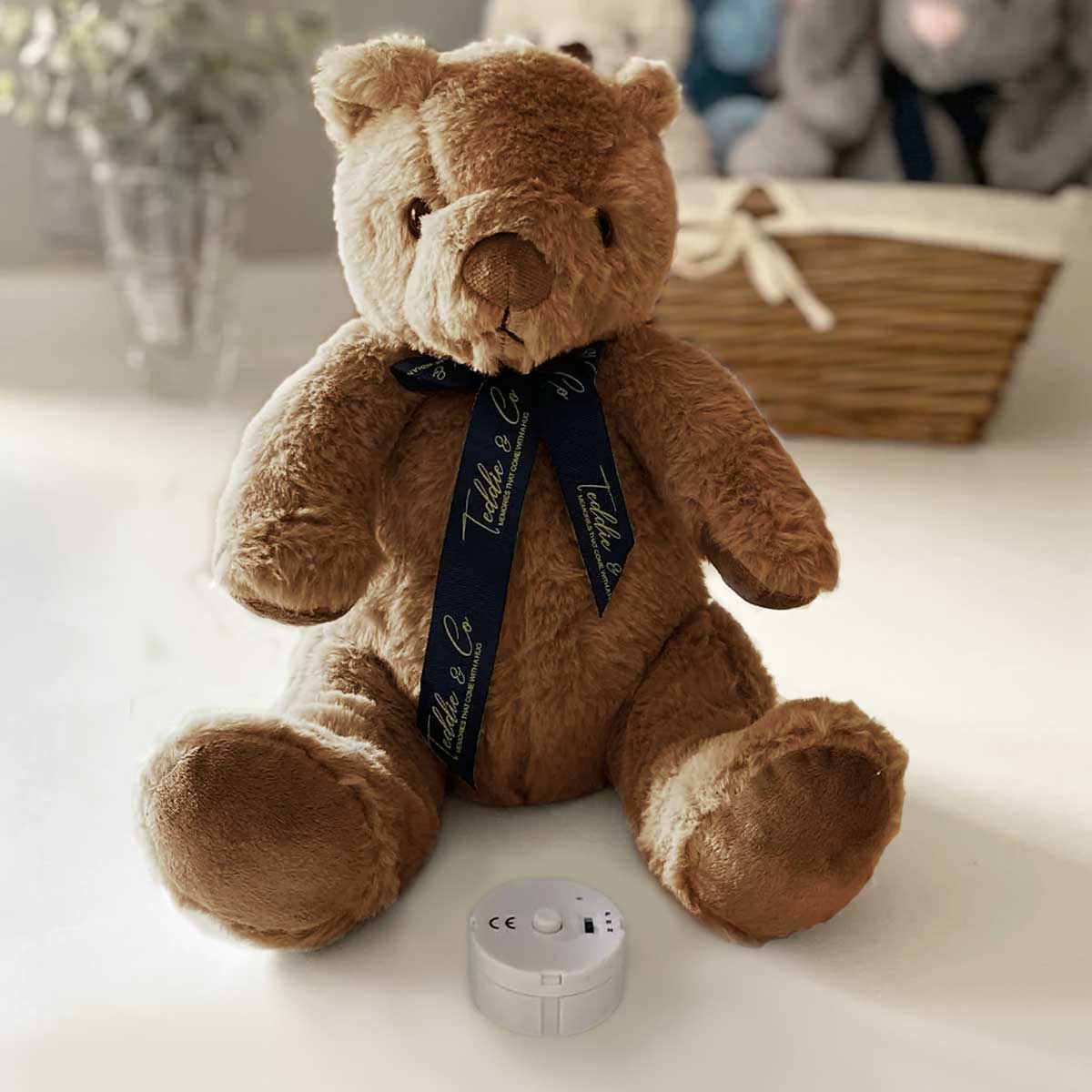 Record-A-Voice Brown Teddy Bear – Lovely NICU Gifts